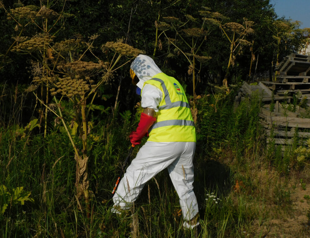 Na czym polega rekultywacja składowisk odpadów? • Remea